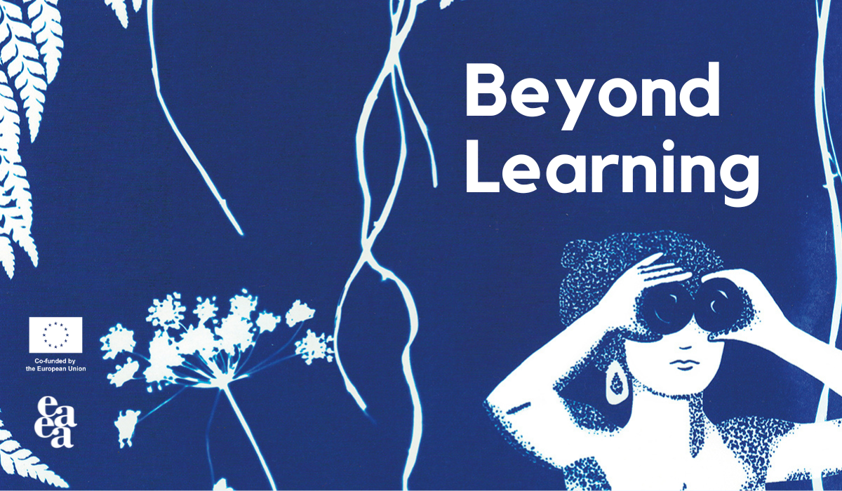 European Association for the Education of Adults » Beyond Learning